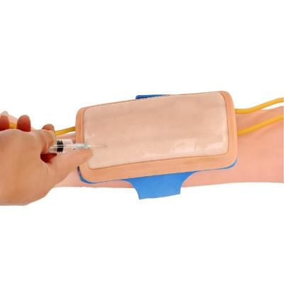 China Advanced PVC Forearm Venipuncture Training Pad IV Injection Pad for Medical Science for sale