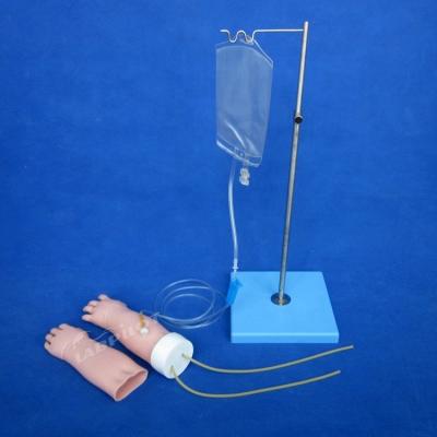 Cina Corso di Scienze Mediche Modello di braccio di allenamento a venezione portatile con pelle sostitutiva in vendita