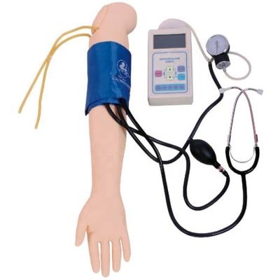 China Arteriële bloeddrukmeting Opleiding Arm Model Categorieën Educatief mannequin Te koop