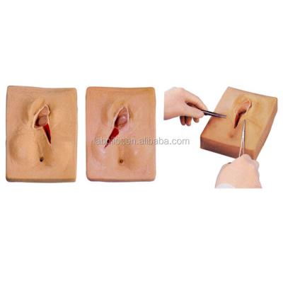 China Gynaecologische vaardigheden Onderwijs 3-set Perineum Suring Simulator en Episiotomy Wond Suring Model Te koop