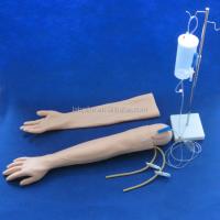 China Vivid Arm Model for IV Injection Training Multi-functional Clinical Nursing Training Model for sale