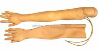 China Vivid Arm Model for IV Injection Training Multi-functional Clinical Nursing Training Model for sale