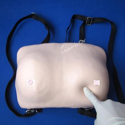 China Breast Self Examination Training Manikin Realistic Skin Model for Gynecological Care for sale