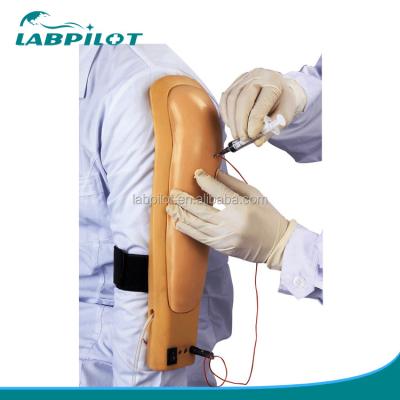 China Clinical Nursing Skills Training Medisch onderwijs Simulators Arm Injection Training Model Te koop