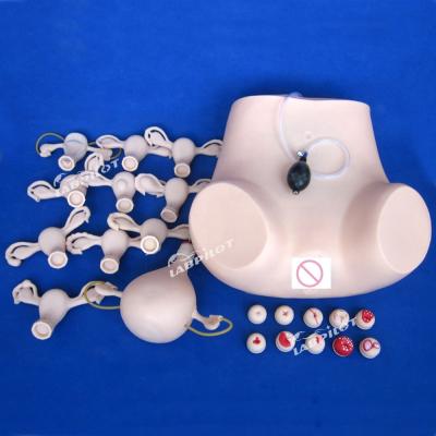 Cina Esame ginecologico di palpazione PVC Manikin di formazione con funzione contraccettiva in vendita