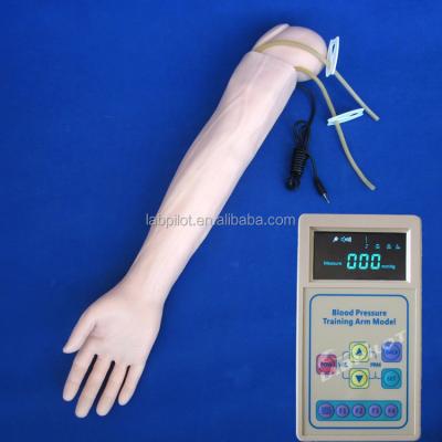 Cina Modello avanzato di simulazione del braccio di allenamento alla pressione sanguigna per la pratica infermieristica clinica in vendita