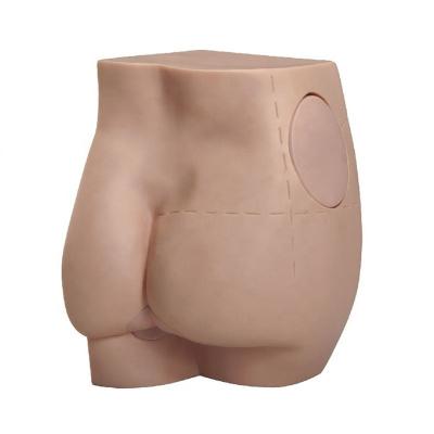 China Functionele billen Intramusculaire injectie model met realistische arm Te koop