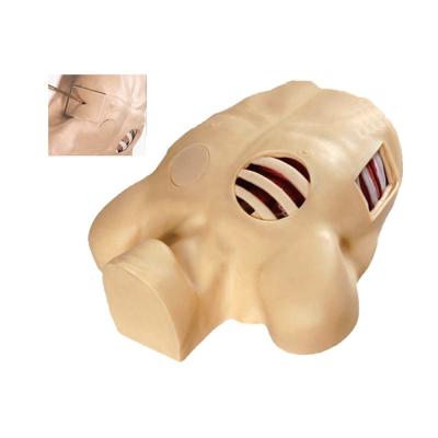 China Geavanceerde PVC Pneumothorax Decompressie Mannequin voor kunstmatige Hydrothorax Simulatie Te koop