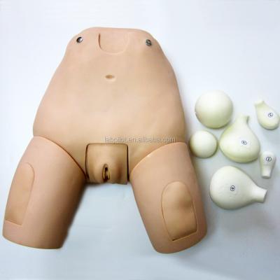 China Postpartum manikin verpleegkundige simulator voor medische wetenschappen fonds van baarmoederonderzoek Te koop