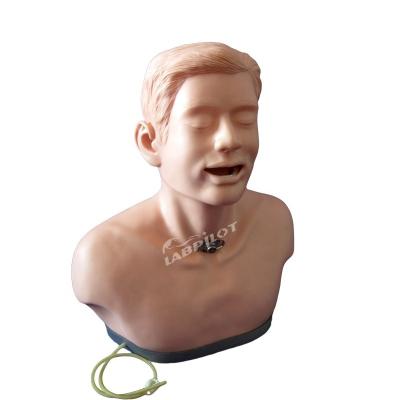 China 2023 Adult Tracheotomy Care and Suction Nursing Manikin Top Training Tool van ziekenhuizen Te koop