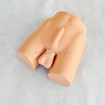 Cina Modello avanzato di manichino di vasectomia in PVC e simulatore di addestramento alla vasoligazione per prodotti in vendita