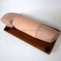 China Advanced Nursing Training Function Subcutaneous Embedded Contraceptive Training Arm Model for sale