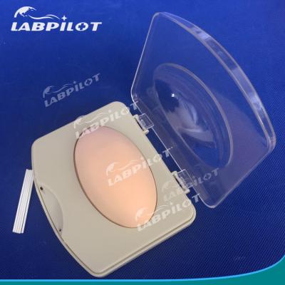 Cina Pad di dimostrazione avanzato di impianto sottocutaneo in PVC per la formazione sulla pianificazione familiare in vendita