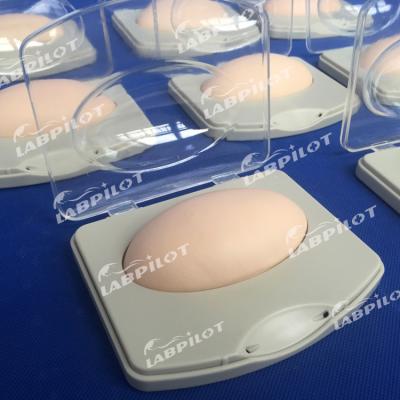 Cina Pad di dimostrazione avanzato di impianto sottocutaneo in PVC per la formazione sulla pianificazione familiare in vendita