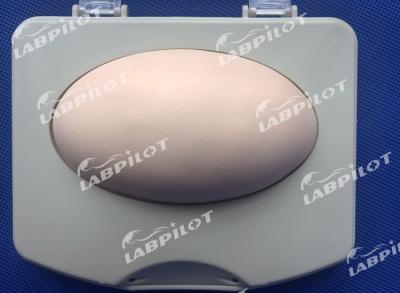 Cina Pad di dimostrazione avanzato di impianto sottocutaneo in PVC per la formazione sulla pianificazione familiare in vendita