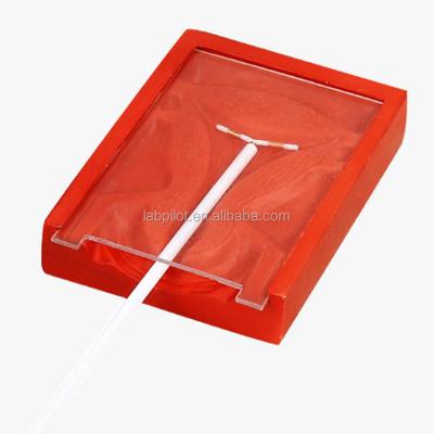 China Mannequin voor medische wetenschappen Intrauterine contraceptieve training simulator Te koop