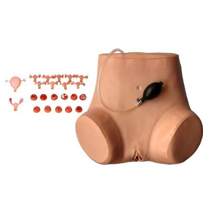 Cina Manichino per ginecologo multifunzionale Formazione infermieristica Modello di esame vaginale in vendita