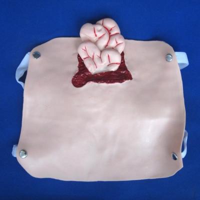 China Geavanceerde PVC-trauma-modellen voor training in wondverpleegkunde en demonstratie van patiëntenzorg Te koop