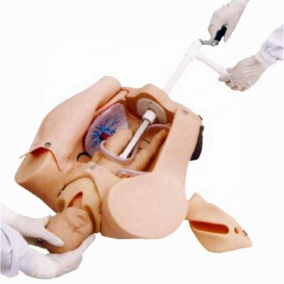 China Geboorte-demonstratie-simulator voor medische wetenschappelijke opleiding en vaardigheidsontwikkeling Te koop