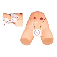 China Intramuscular Injection Training Model for Female Catheterization Skill Development for sale