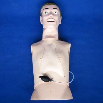 China Manikin de Intubation e Sucção Profissional de Tamanho Humano com Função de Enfermagem à venda