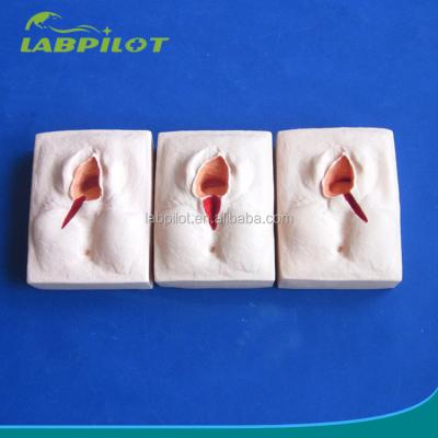 China Geavanceerde PVC-trainingssimulator voor episiorrafie voor realistische vulva-suringstechnieken Te koop