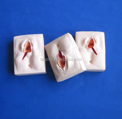China Simulador de Treinamento Avançado de Episiorrafia em PVC para Técnicas Realistas de Suratura da Vulva à venda