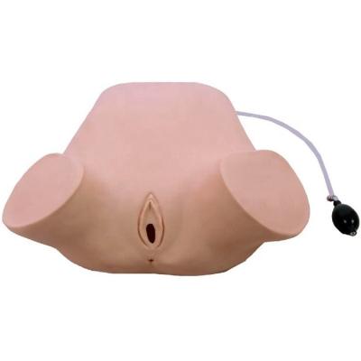 China Geavanceerde PVC Multifunctionele Vier Manoeuvres Leopold Model Rectaal en Vaginaal Onderzoek Training Mannequin Te koop