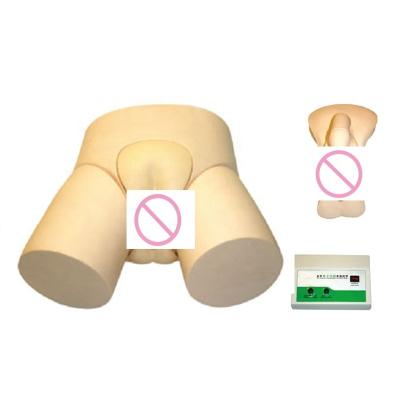 China Geavanceerd PVC Elektronisch Urethraal Katheterisatie en Enema Training Model voor professionals Te koop