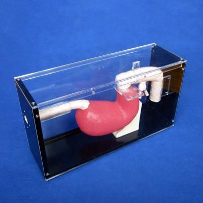 China Medische esofagoscoopopleiding Gastroscoop en ERCP-trainer voor maag-darmlaesies Te koop