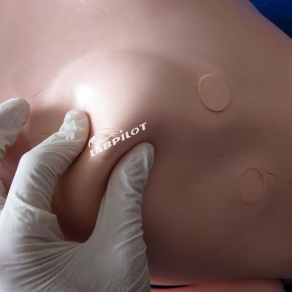 Quality Basic Resuscitation and Nursing Skills Training Dummy for Human Life Size for sale
