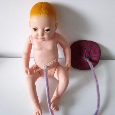 Cina Modello avanzato di manichino per neonati in PVC per la cura della placenta per gli operatori sanitari in vendita