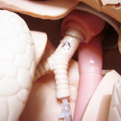 China Escola de Enfermagem Profissional Manikin para CPR infantil e Treinamento de Cuidados Pediátricos Flexíveis à venda