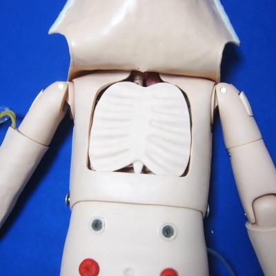 China Escola de Enfermagem Profissional Manikin para CPR infantil e Treinamento de Cuidados Pediátricos Flexíveis à venda
