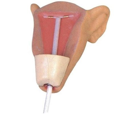 China Realistische verpleegkundige simulator voor contraceptieopleiding Vrouwelijke IUP Medische anatomie model Te koop