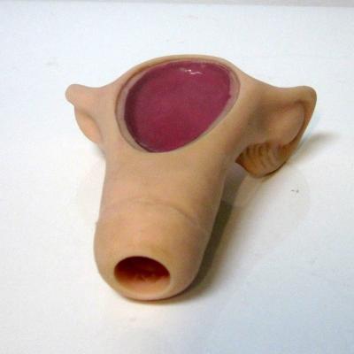 China Patiëntenzorg Demonstratie Compact Handheld IUD Inbrengtrainer voor de medische wetenschap Te koop