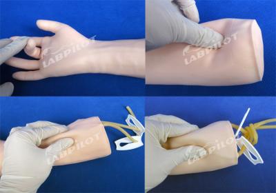 China Sales Injection Training Model for Teaching Intravenous Infusion and Blood Transfusion for sale