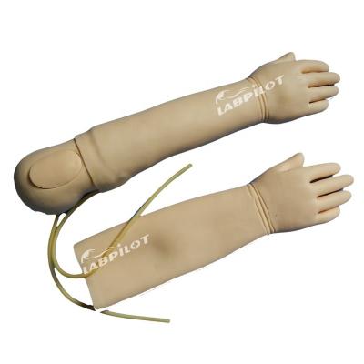 China Geavanceerd PVC-materiaal Intravenous Infusion Training Arm Model voor 4-jarigen Te koop