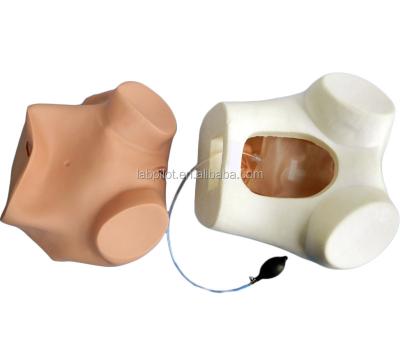 China Vrouwengezondheidsonderwijs GYN Examen Opleidingssimulator met geavanceerd PVC materiaal Te koop