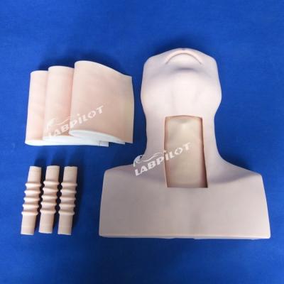 China Ciências Médicas Traqueostomia Formação de Enfermagem Maniquim Ótimo para a Educação à venda