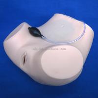 China User-Friendly Basic Gynecological Examination Model for Patients Care Demonstration for sale