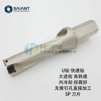 China Interchangeable Drills 2D-5D High Working Efficiency CNC Machine for sale