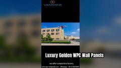 160x24mm Indoor WPC Louver Wall Panel