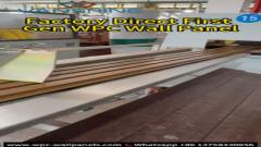 Factory Direct First Gen WPC Wall Panel