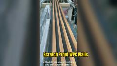 Premium interior WPC wall panel solutions for commercial projects