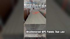 Co-Extrusion in Action: Manufacturing Capped WPC Wall Panels for Outdoor Use