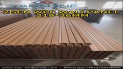Co-extrusion WPC Wall Panel