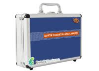 China Resonancia Analayzer magnético de Quantum de la 3ra generación en la versión de Iondonesian en venta