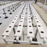 China Square Rectangle Shape Hydroponic NFT Growing System Many Sizes and Full Raw Material for sale