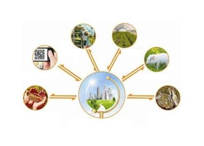 Cina Comunicazione terminale telecomandata della porta seriale di Modbus RTU WIFI per il parco agricolo in vendita